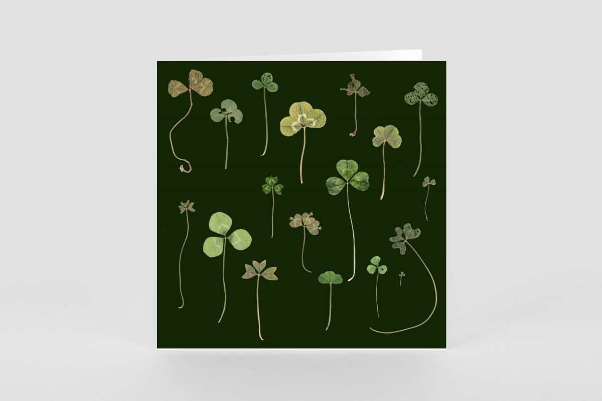 Clover Collection II card – Coo Geller