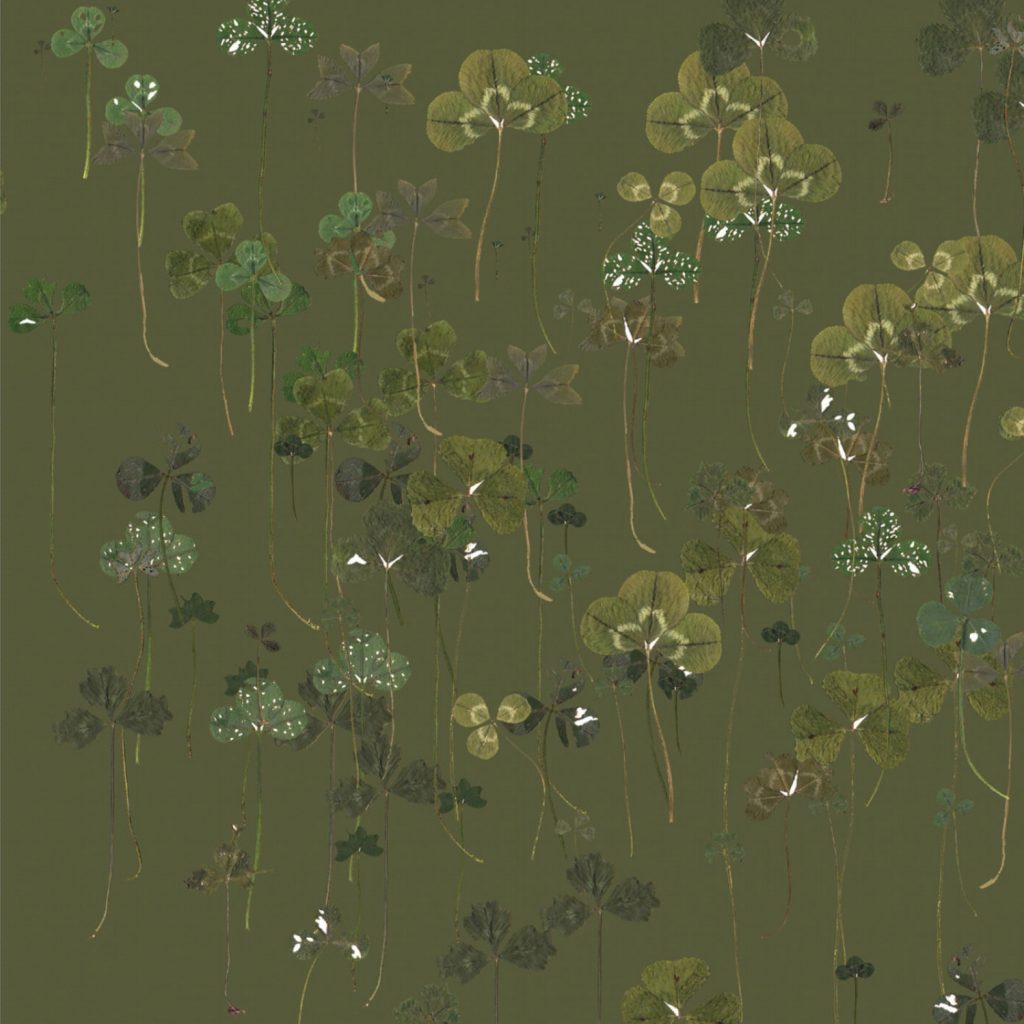 Clover I print – Coo Geller