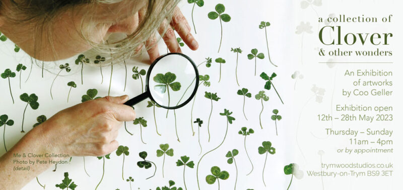 A collection of Clover & other wonders – Coo Geller